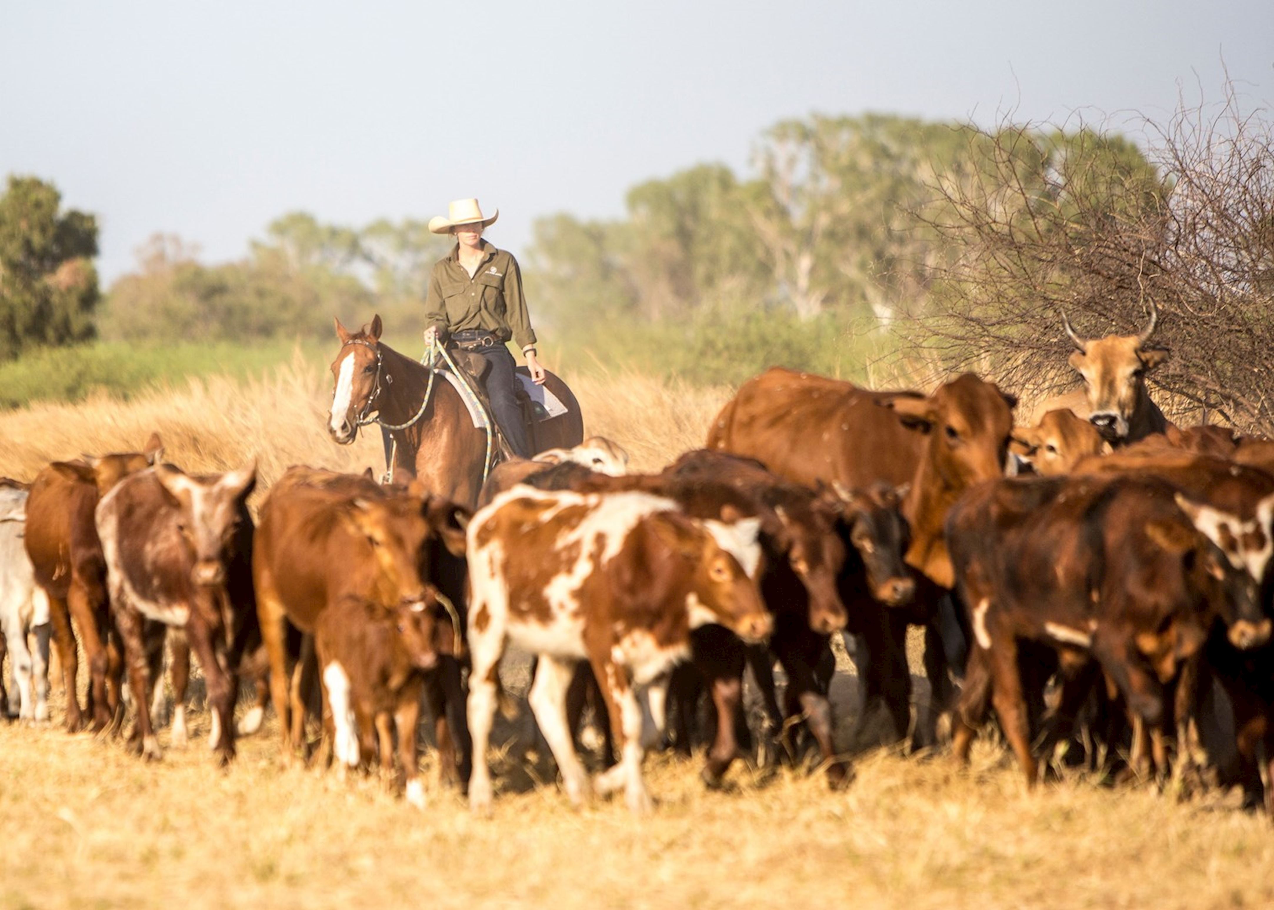 Visit Bullo River Station on a trip to Australia | Audley Travel UK