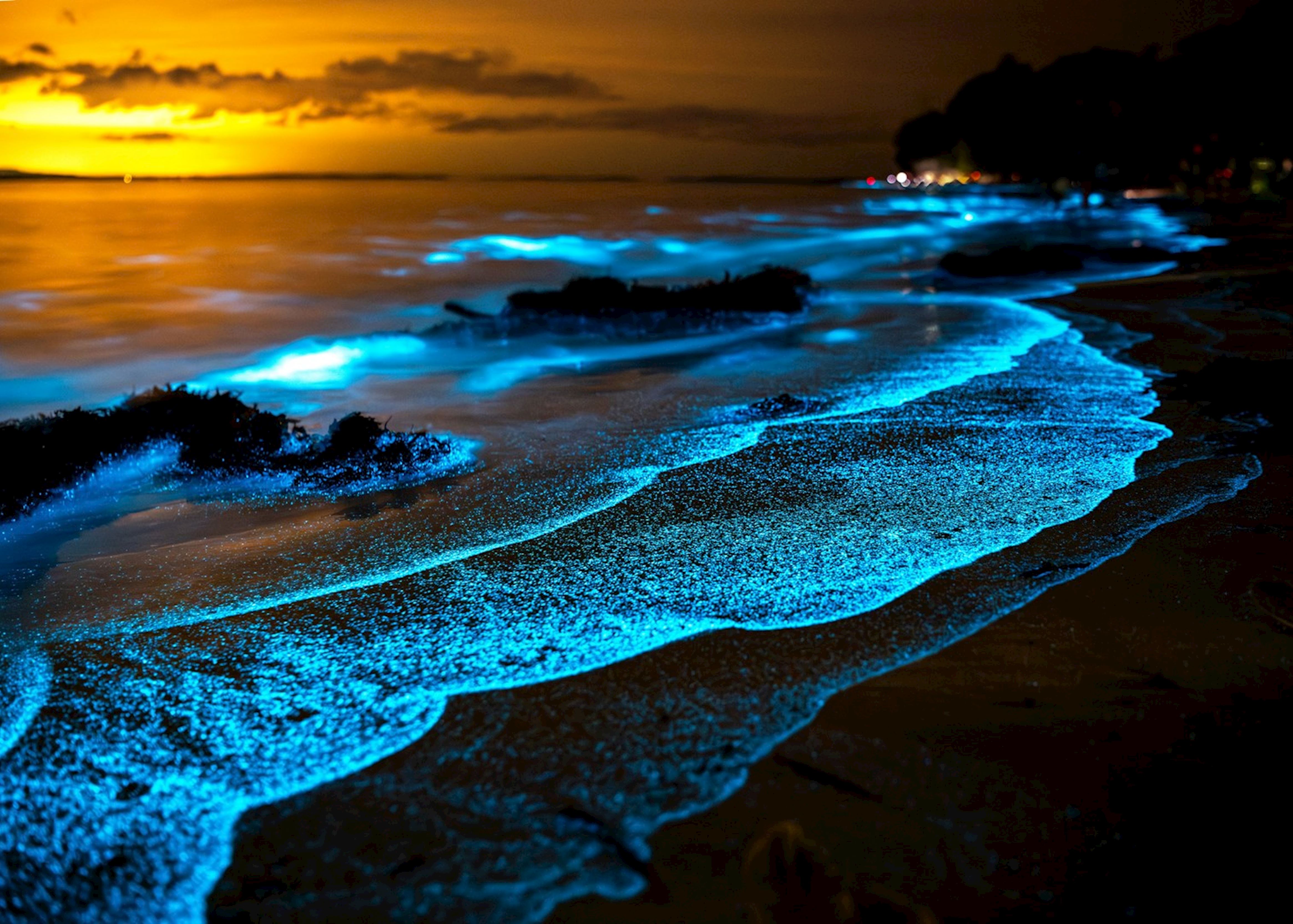 Bioluminescence night kayak | Audley Travel US