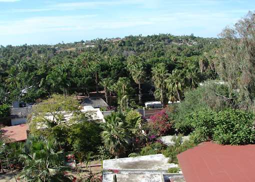 Guaycura | Hotels in Todos Santos | Audley Travel