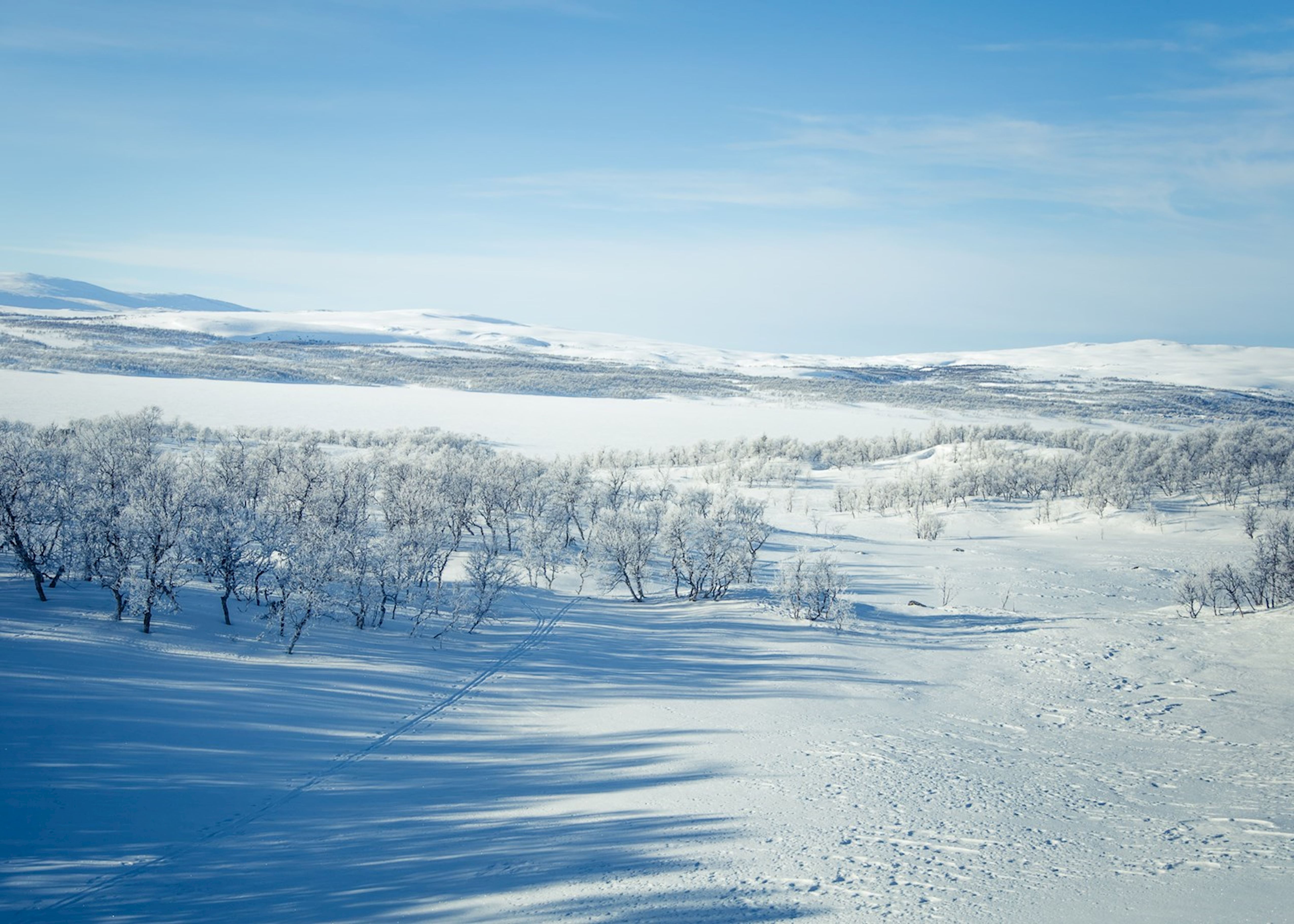 Snowmobiling across Finnmarksvidda plateau | Audley Travel US