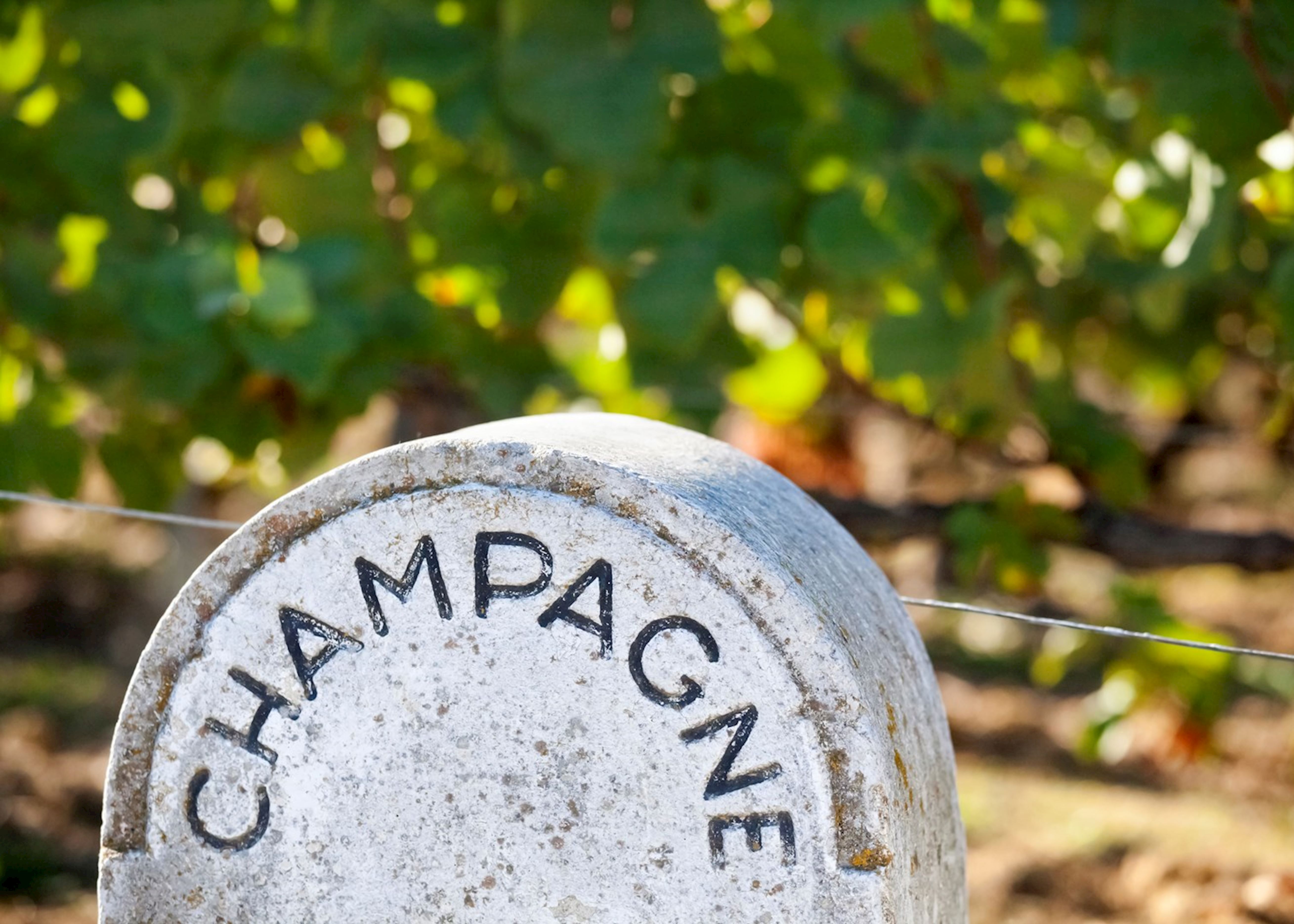 Champagne discovery tour | Audley Travel US