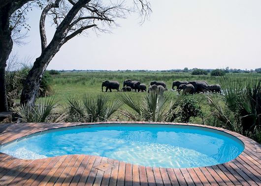Visit Chief's Island, Botswana | Tailor-Made Vacations | Audley Travel US