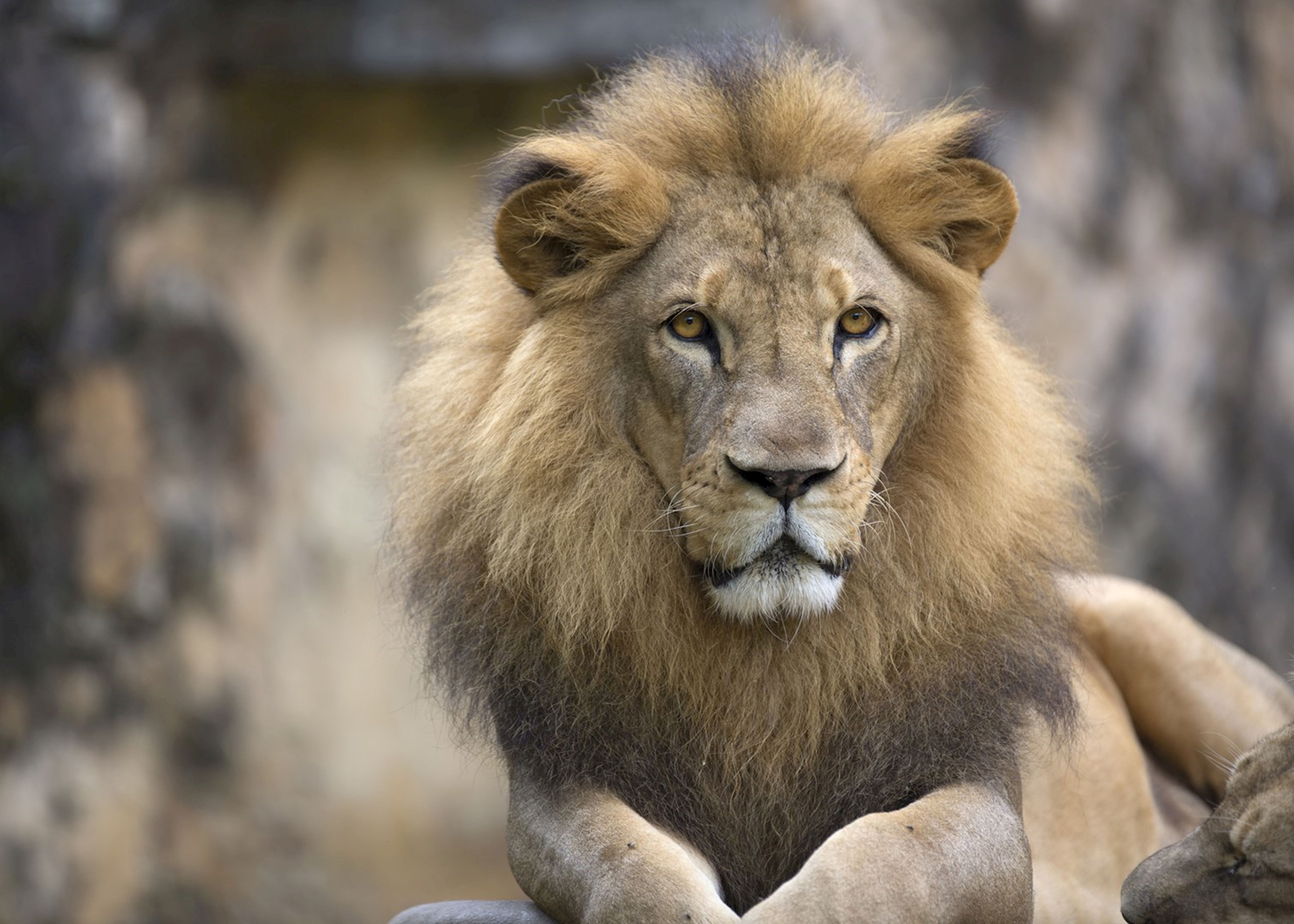 Tailor-Made Holidays and Safaris in Africa | Audley Travel UK