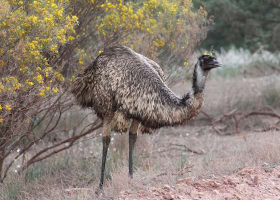 Where is hot in April? | Audley Travel