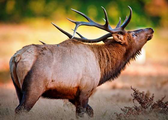 Northern California Self-Drive Tour | Audley Travel