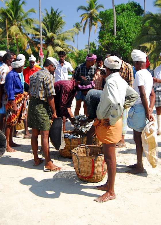 South India's temples and backwaters | Audley Travel