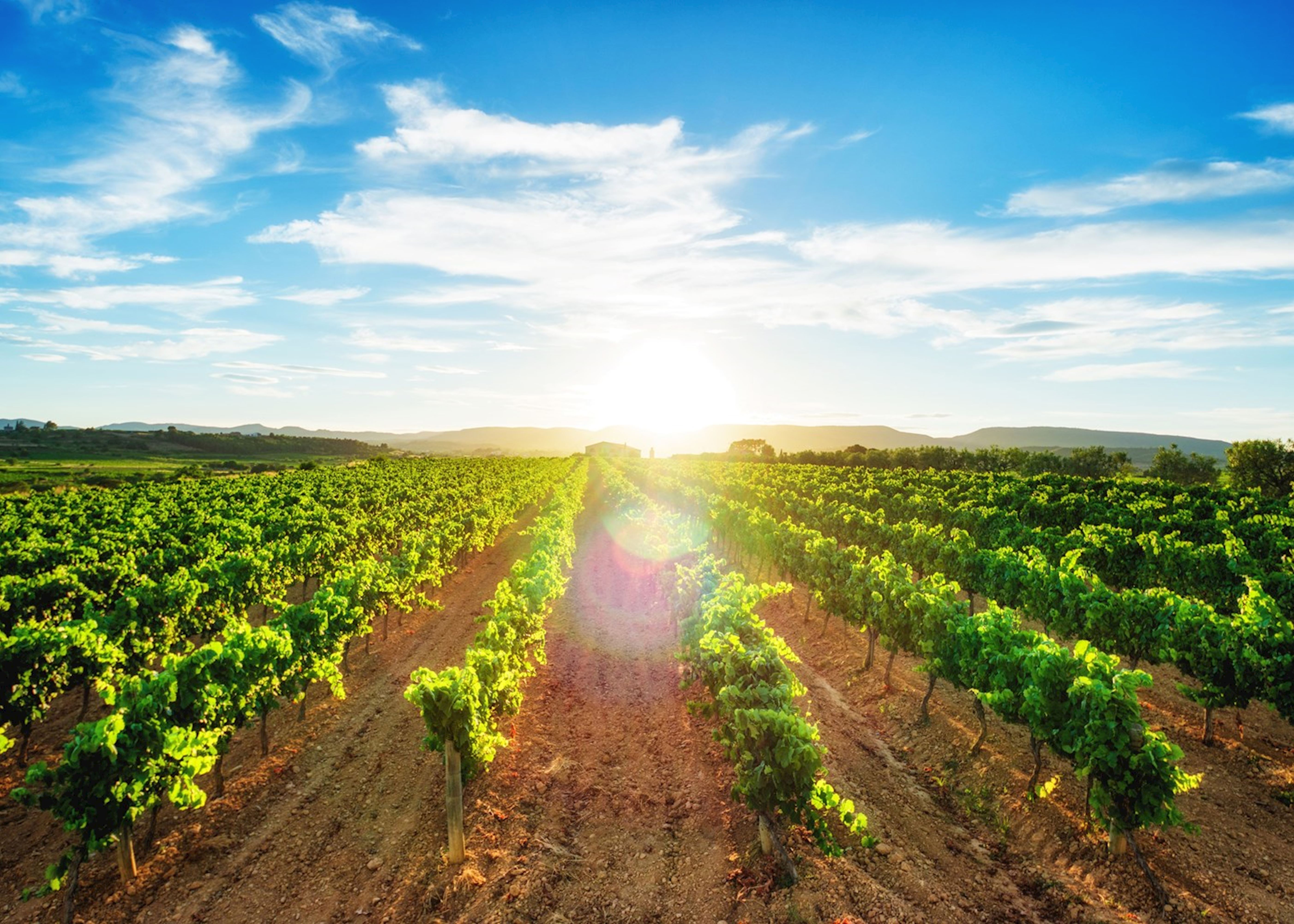 Tailor-Made Vacations to La Rioja | Audley Travel US