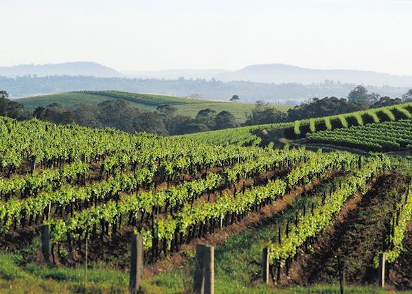Visit Hunter Valley on a trip to Australia | Audley Travel UK