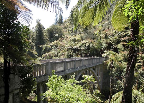 Visit Whanganui National Park | Audley Travel UK