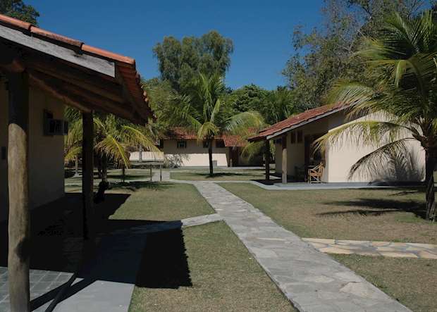 Visit The Pantanal, Brazil Default Theme | Audley Travel UK