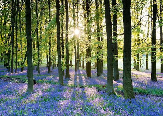 Best Time To Visit Europe | Climate Guide | Audley Travel US