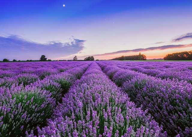 Best Time To Visit Europe | Climate Guide | Audley Travel US