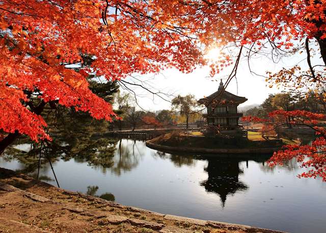 Best Time To Visit South Korea Best Months For Travel Audley Travel Uk