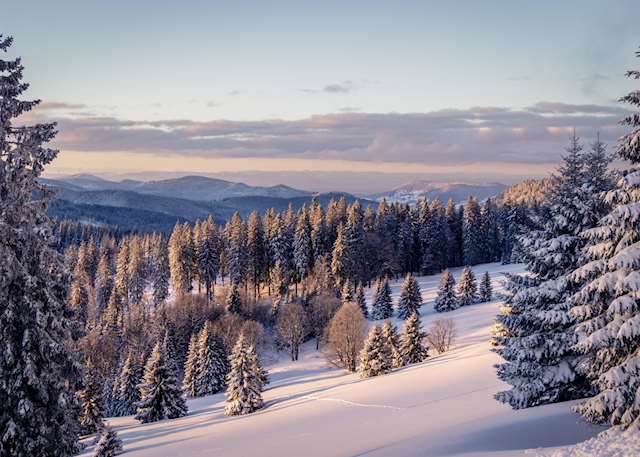 Best Time To Visit Germany | Climate Guide | Audley Travel UK