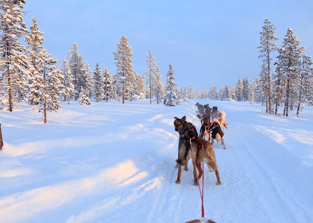 Best Time to Visit Sweden | Best Months for Travel | Audley Travel CA