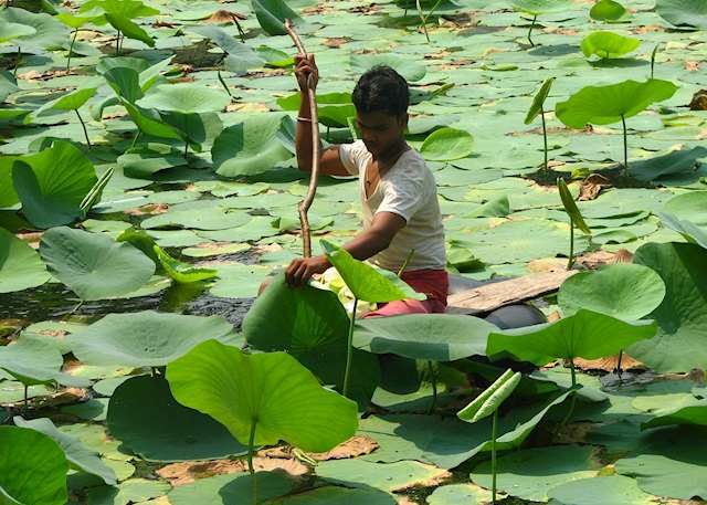 Best Time to Visit India | Best Months for Travel | Audley Travel US