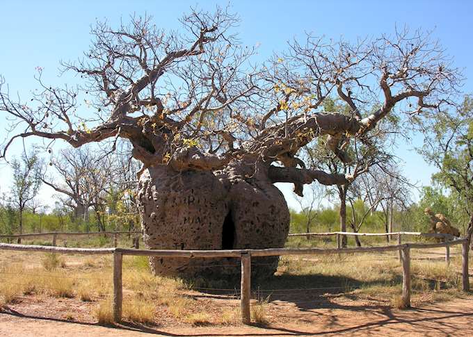 Visit The Kimberley on a trip to Australia | Audley Travel UK