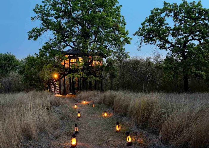 Pench Tree Lodge | Hotels in Pench Tiger Reserve | Audley Travel UK