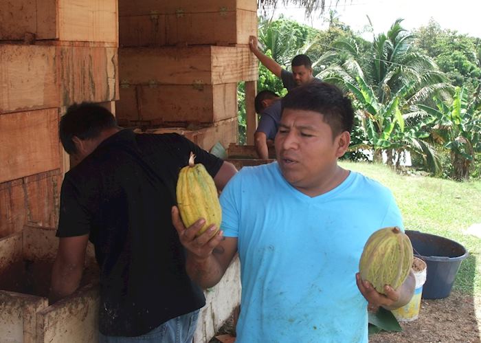 Cacao Plantation and Community Visit Tour | Audley Travel US
