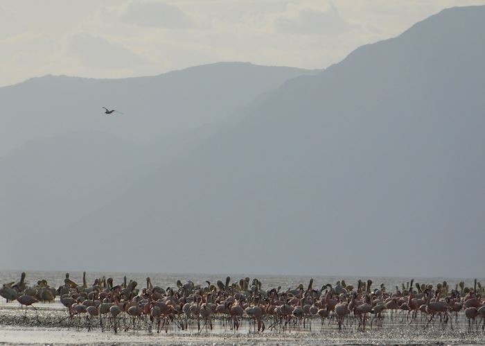 Visit Lake Eyasi, Tanzania Default Theme | Audley Travel UK