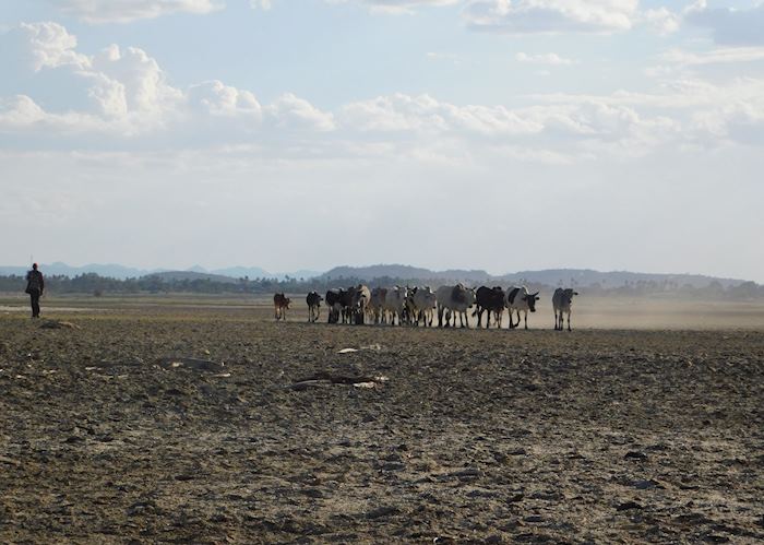 Visit Lake Eyasi, Tanzania Default Theme | Audley Travel UK
