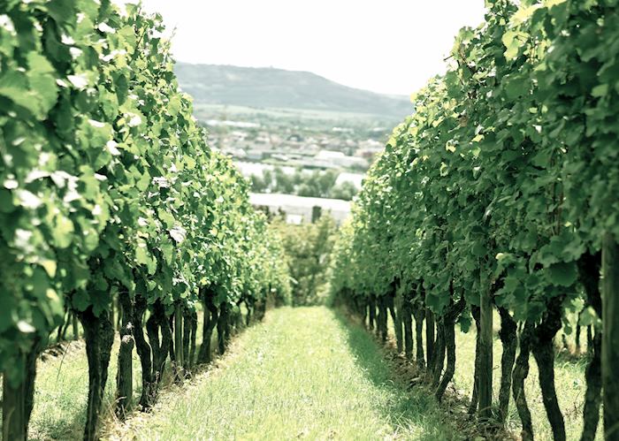 Tailor-Made Vacations to the Rhine Valley | Audley Travel US