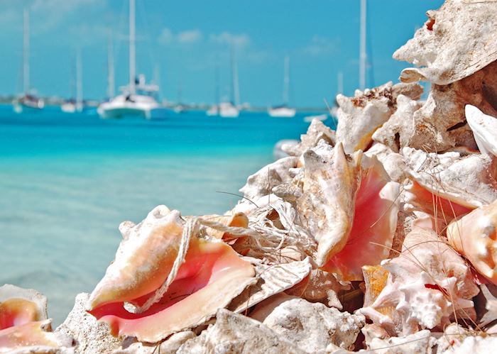 The Bahamas Holidays 2026 & 2027 - Tailor-Made from Audley Travel UK