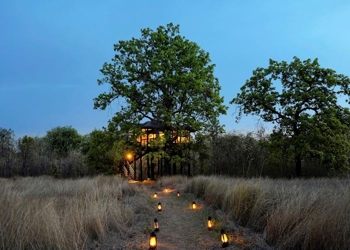 Pench Tree Lodge | Hotels in Pench Tiger Reserve | Audley Travel US