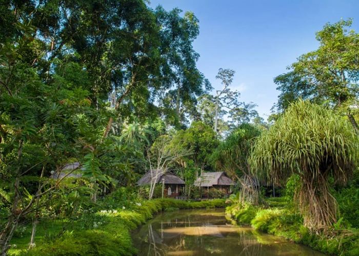 Sepilok Nature Lodge | Hotels in Sandakan | Audley Travel US