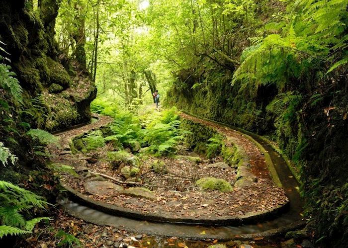 Hiking Madeira’s levadas pathways | Audley Travel UK