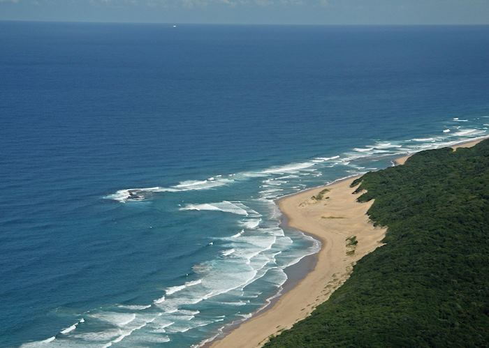 The Elephant Coast, South Africa | Tailor-made Vacations | Audley Travel US
