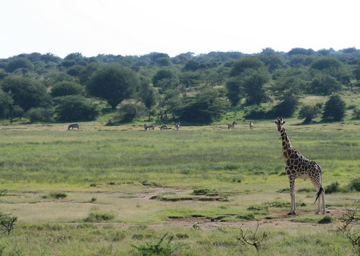 Visit Sosian Lodge, Kenya | Tailor-made Trips | Audley Travel UK