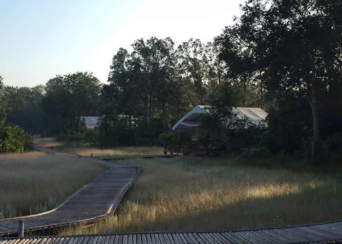 Cardamom Tented Camp | Hotels in Koh Kong | Audley Travel