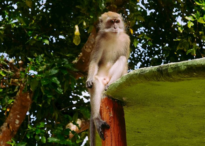 Pangkor Laut Resort | Pangkor Islands | Audley Travel UK
