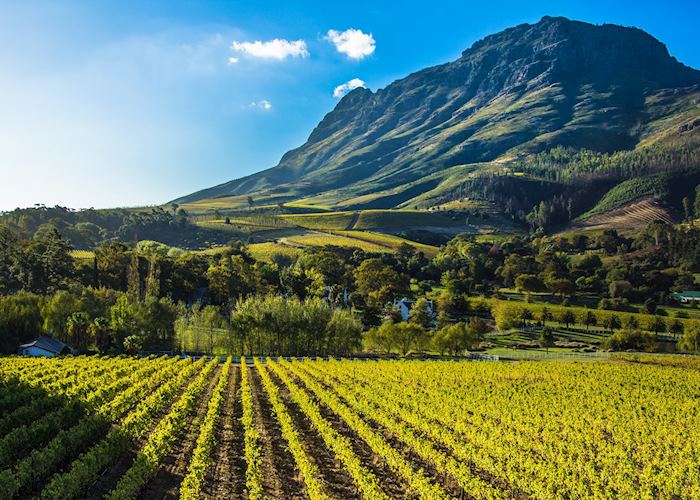 Visit Stellenbosch, South Africa | Tailor-made Trips | Audley Travel UK