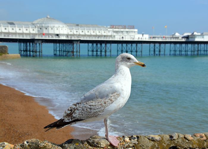 Visit Brighton on a trip to England | Audley Travel