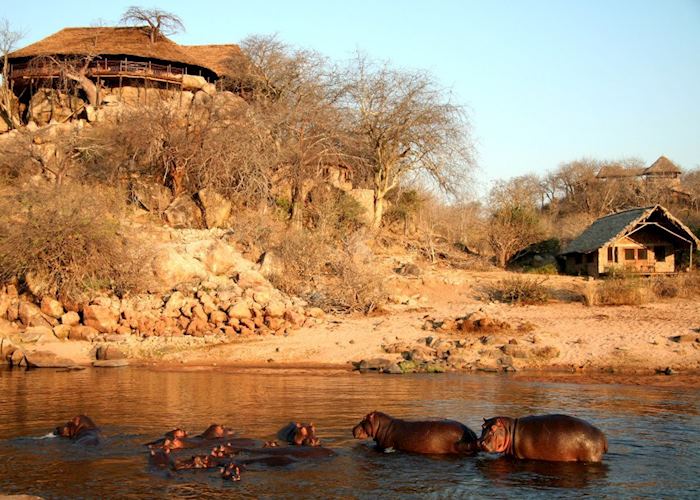 Ruaha River Lodge | Ruaha National Park | Audley Travel US