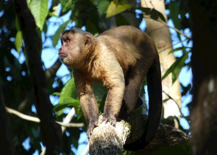 Visit Green Coast on a trip to Brazil | Audley Travel