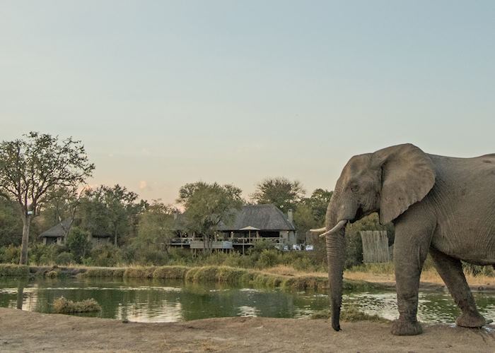 Simbambili Game Lodge | Audley Travel US