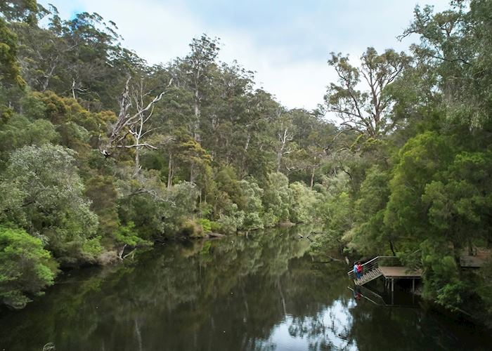 Visit Pemberton, Australia Default Theme | Audley Travel UK