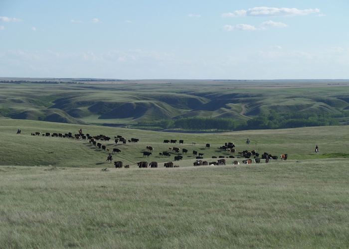 La Reata Ranch | Hotels in Canada Default Theme | Audley Travel US