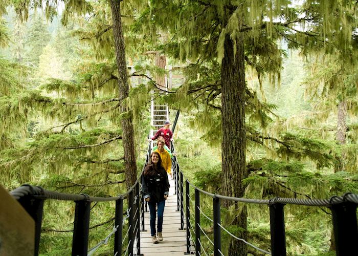 Tree Trek Canopy Walk, Canada | Audley Travel US