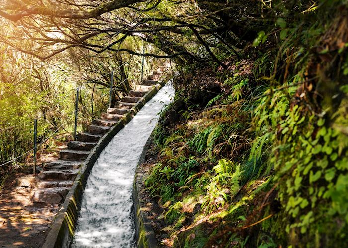 Visit Madeira on a trip to Portugal | Audley Travel US