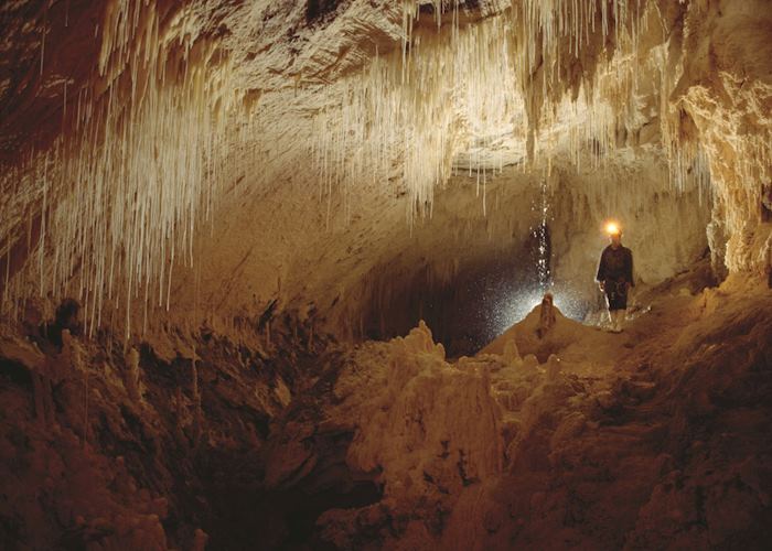 Visit Waitomo on a trip to New Zealand | Audley Travel UK