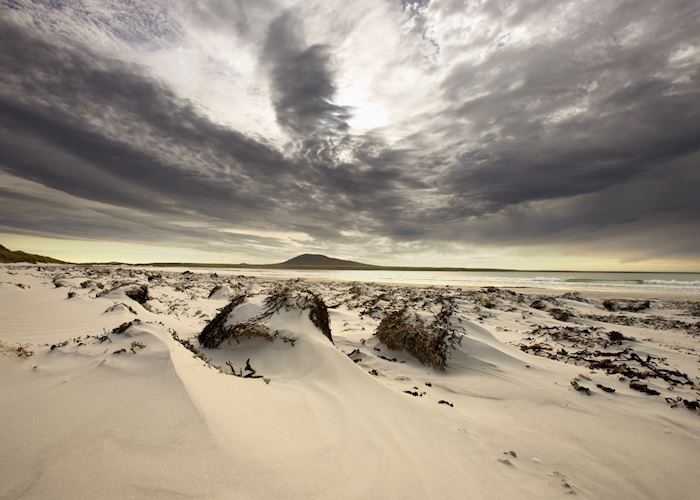 Visit Pebble Island, The Falkland Islands | Audley Travel UK