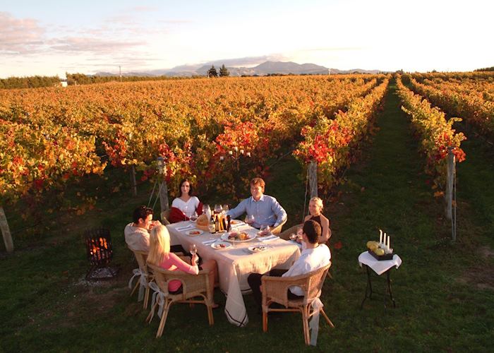 Visit Martinborough on a trip to New Zealand | Audley Travel US