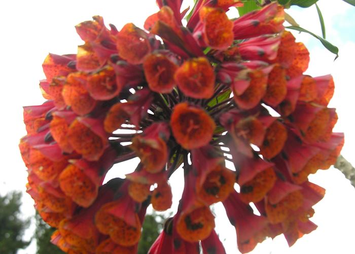 Cotopaxi National Park, Ecuador | Audley Travel