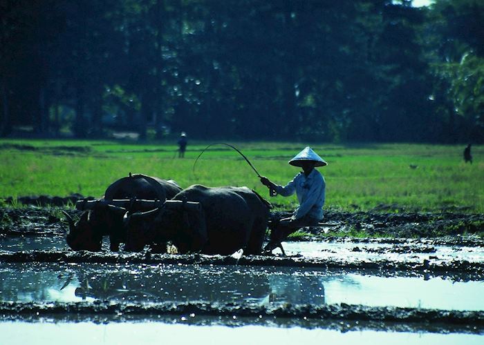 Visit Java, Indonesia | Tailor-Made Java Vacations | Audley Travel