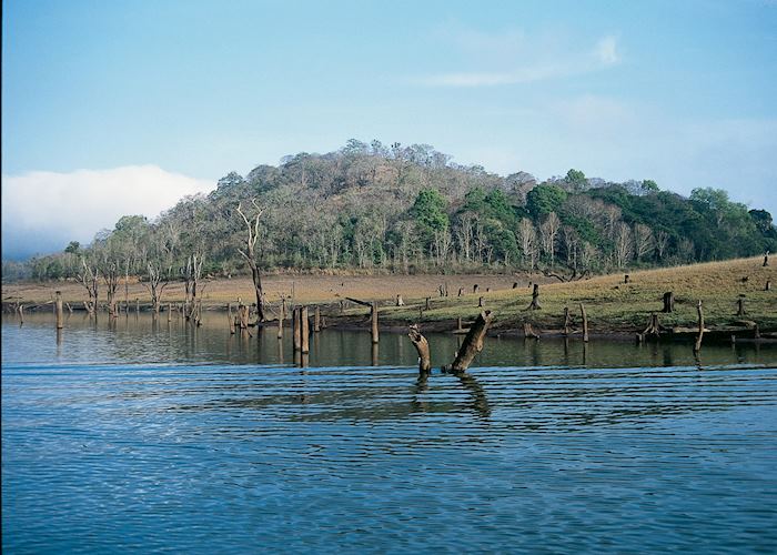 Visit Thekkady & Periyar Wildlife Sanctuary | Audley Travel US