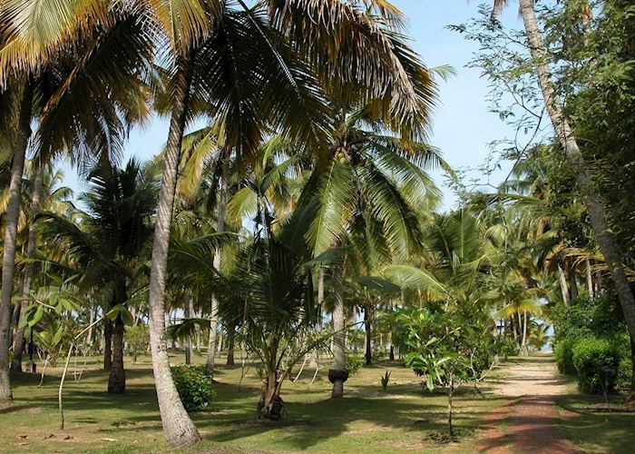 Marari Beach Resort | Hotels in Mararikulam | Audley Travel UK